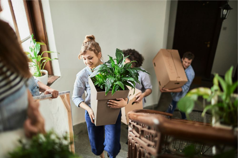 Your Guide to Moving with Plants - MPR Movers